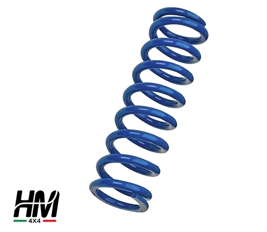 King coil spring - HM4X4